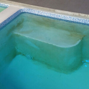 Identify & Remove Pool Stains Quickly | Test Your Own Pool